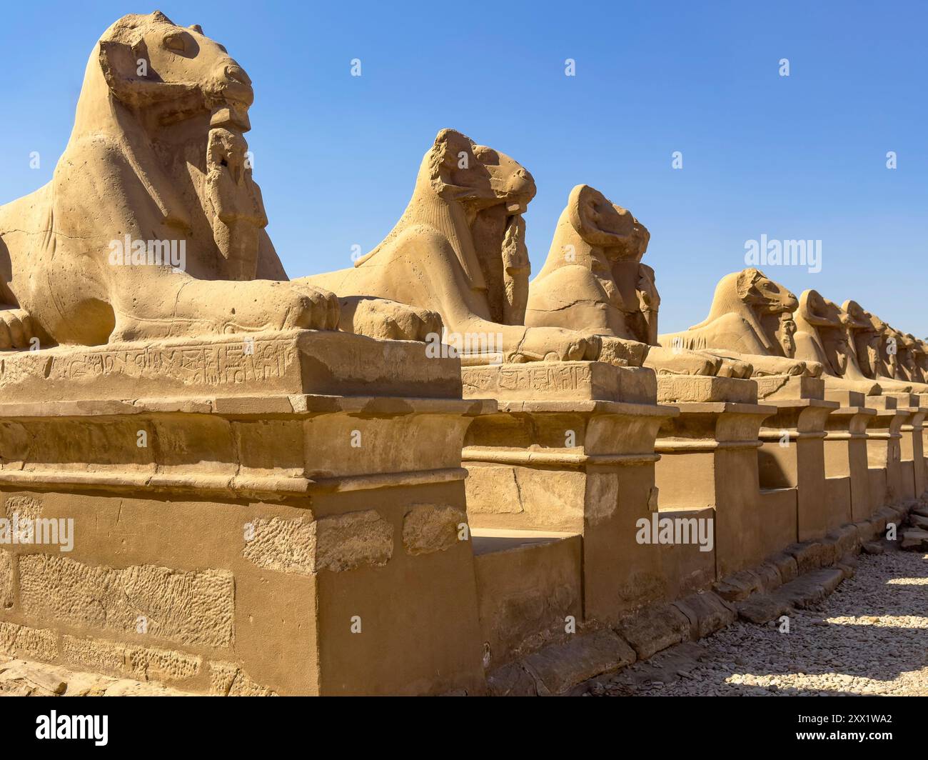 Wander down Karnak's iconic Avenue of the Sphinxes, a breathtaking ...