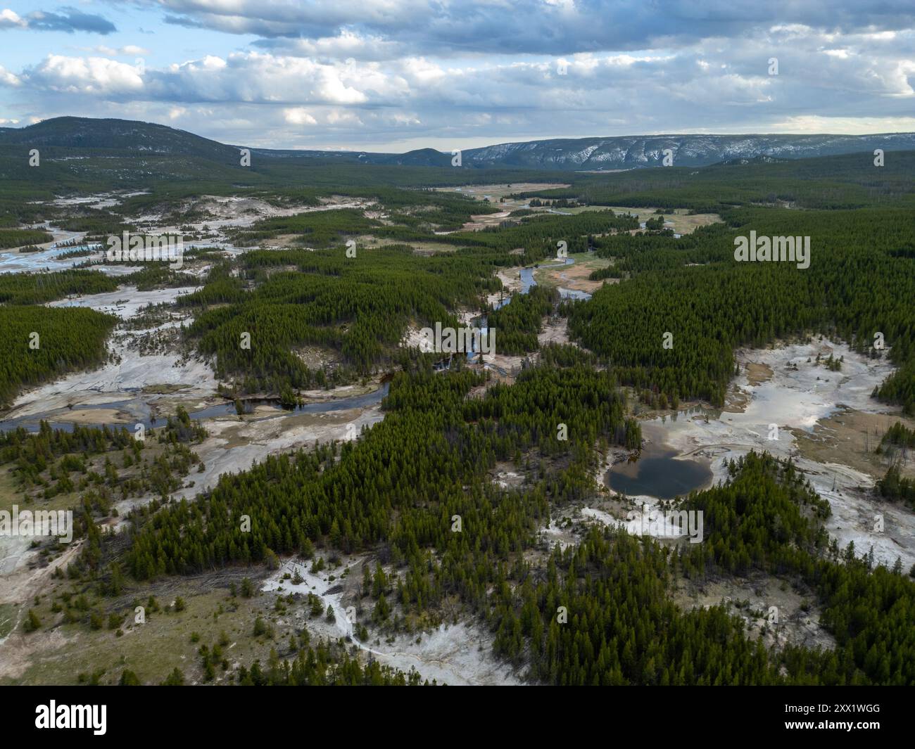 Aerial view of Yellowstone National Park showcasing its vast forests ...