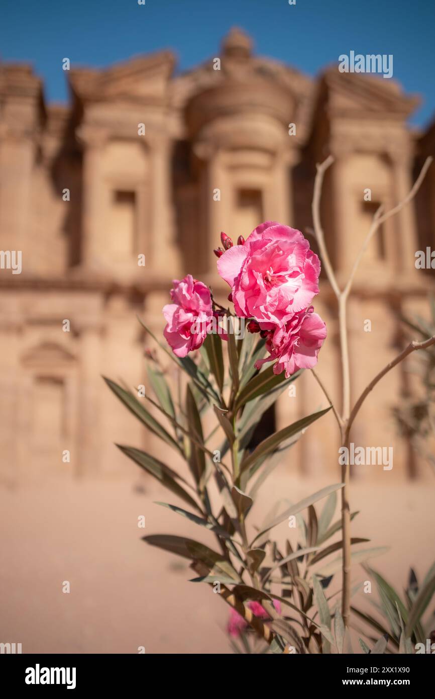 Vertical Scenery of Nerium Oleander with Shallow Depth of Field ...