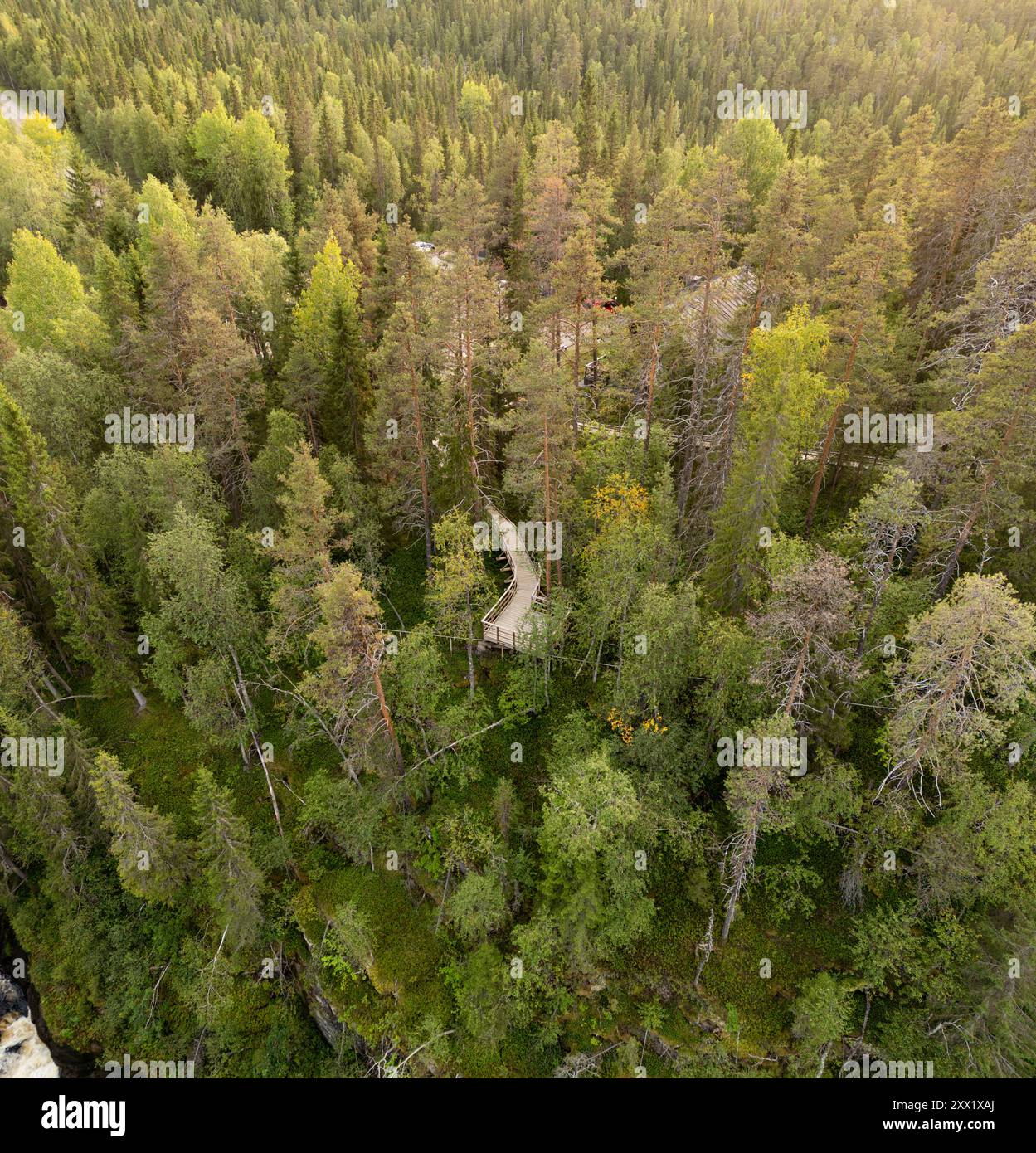 Auttiköngäs One of Finland’s most magnificent waterfalls in peaceful ...