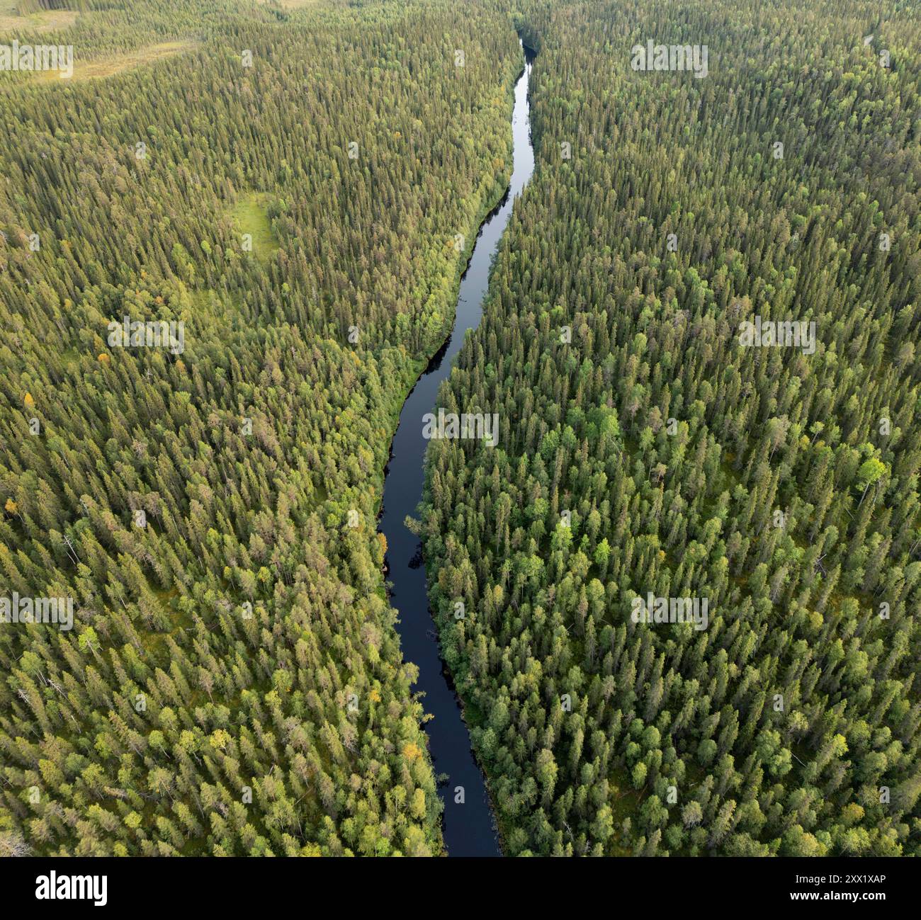 Auttiköngäs One of Finland’s most magnificent waterfalls in peaceful ...