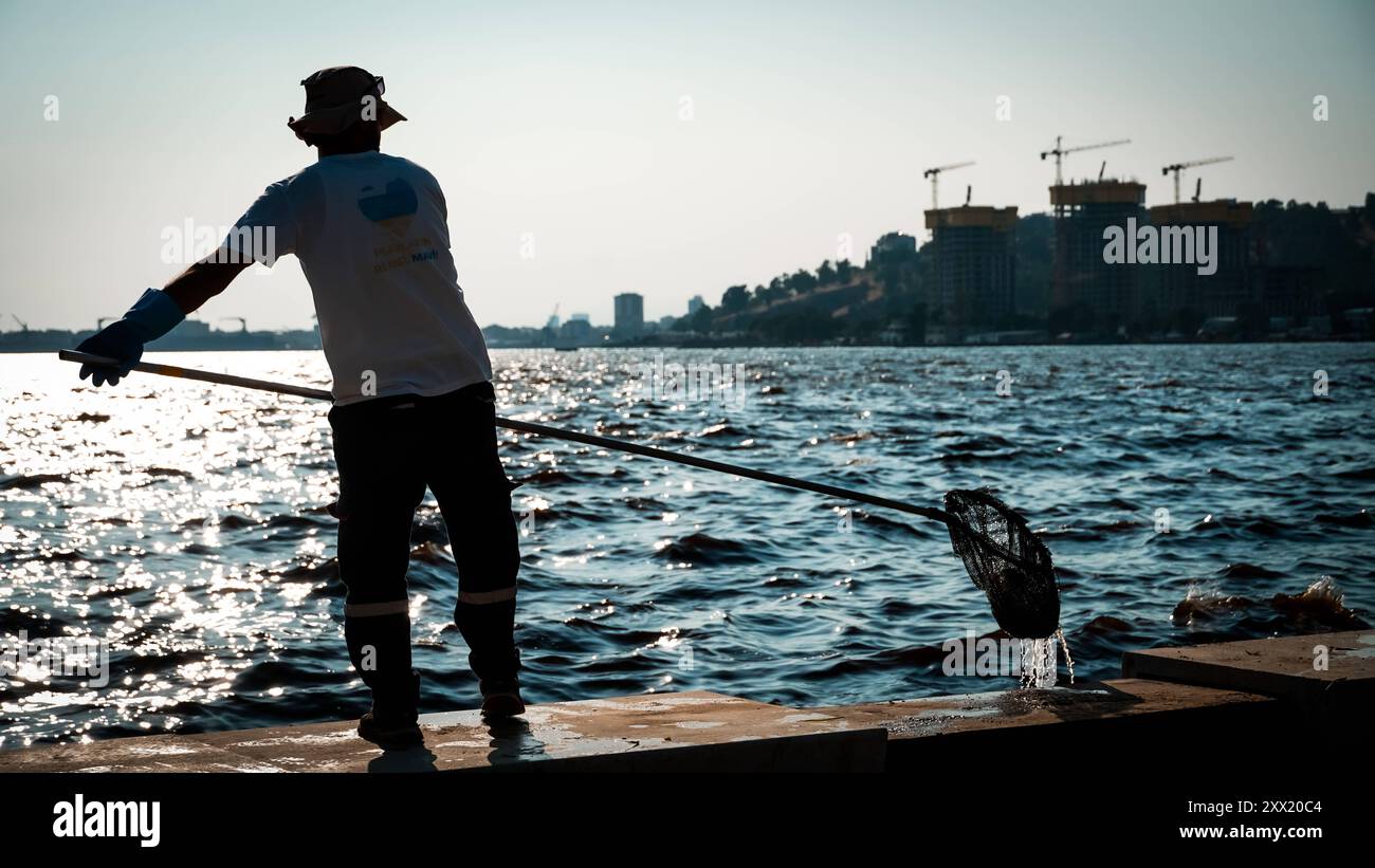 Mass fish deaths in the gulf Mass fish deaths have occurred in the Gulf ...