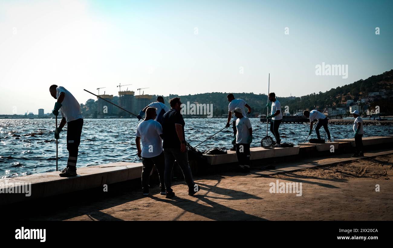 Mass fish deaths in the gulf Mass fish deaths have occurred in the Gulf ...