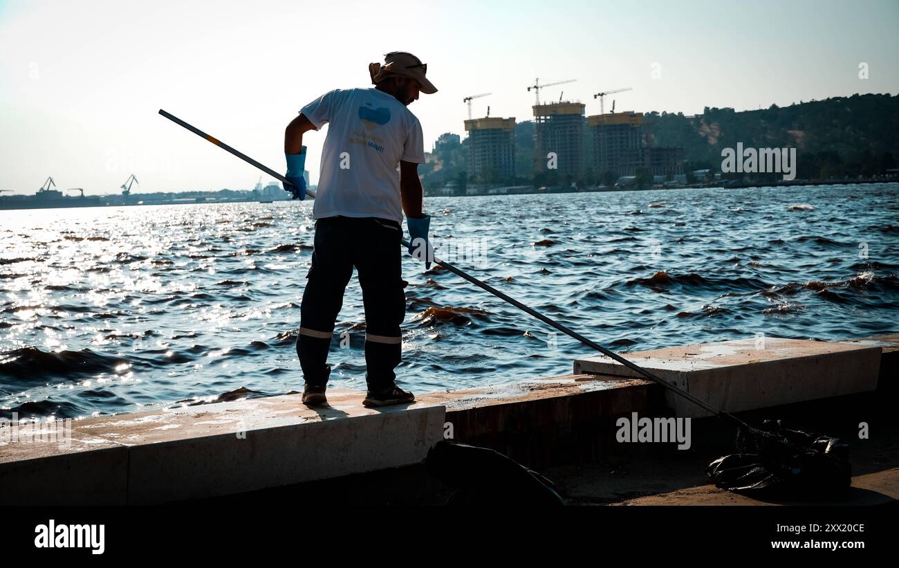 Mass fish deaths in the gulf Mass fish deaths have occurred in the Gulf ...