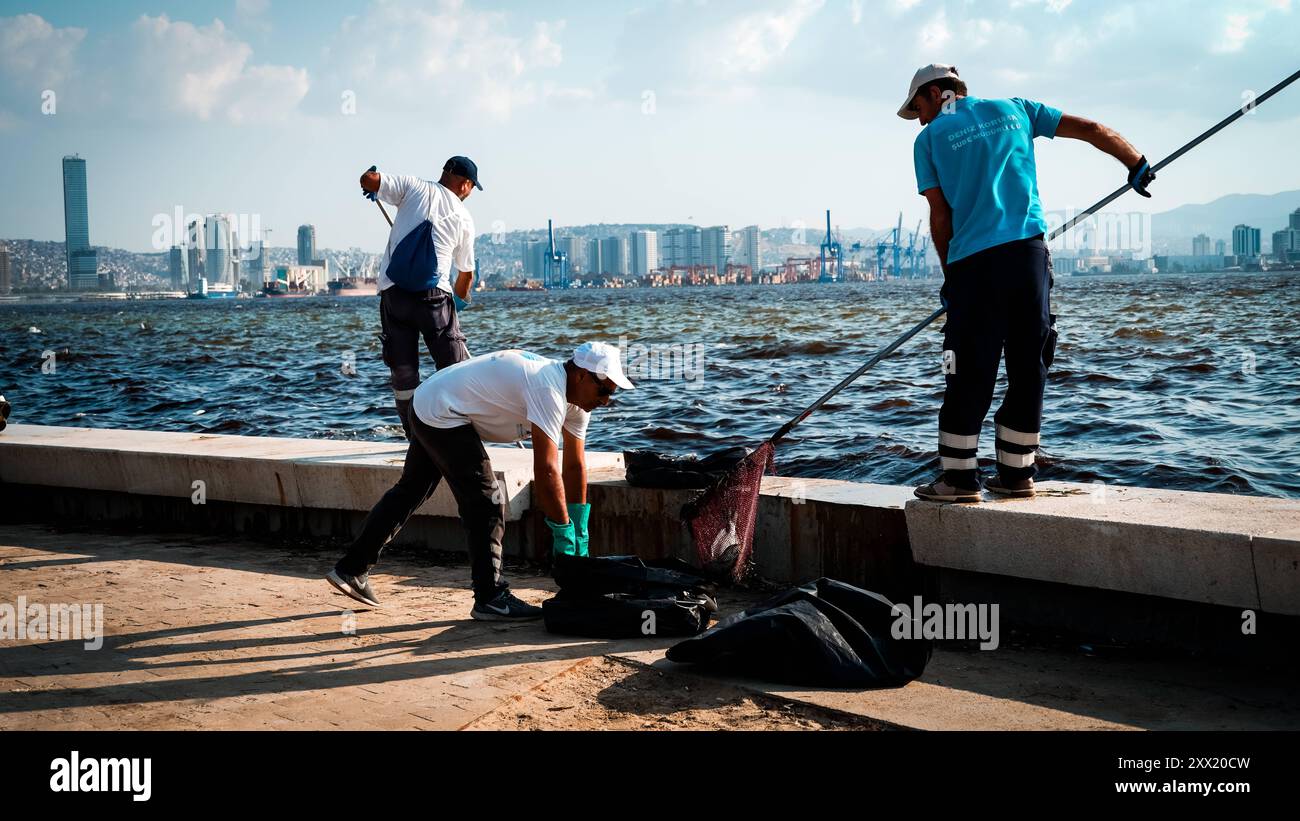Mass fish deaths in the gulf Mass fish deaths have occurred in the Gulf ...