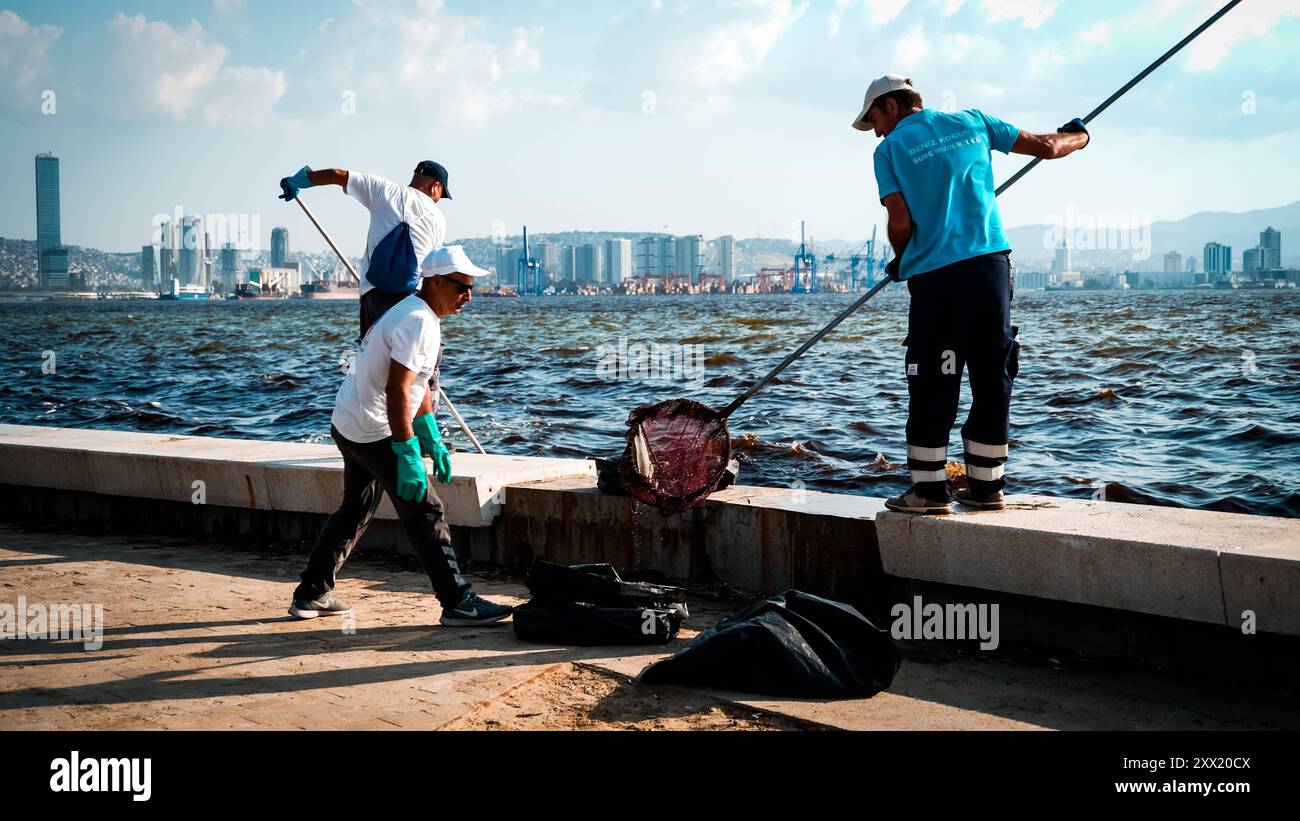 Mass fish deaths in the gulf Mass fish deaths have occurred in the Gulf ...