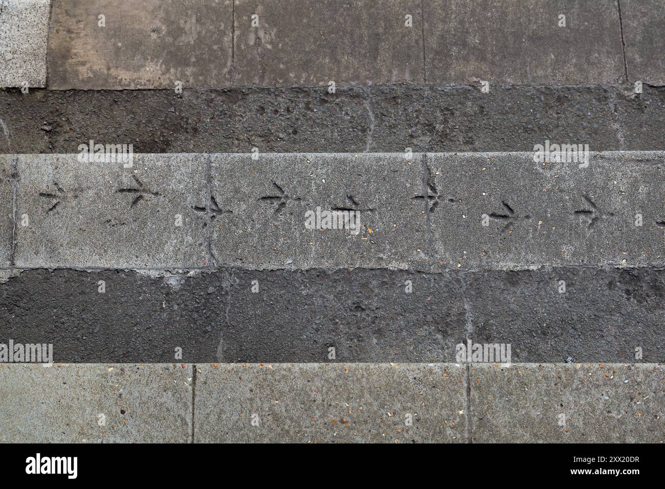 Bird footprints set in concrete on steps, Cardiff, South Wales, UK ...