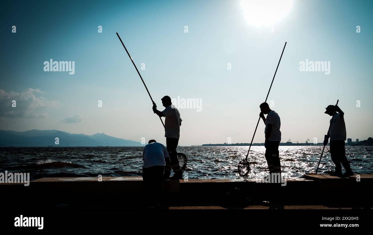 Mass fish deaths in the gulf Mass fish deaths have occurred in the Gulf ...