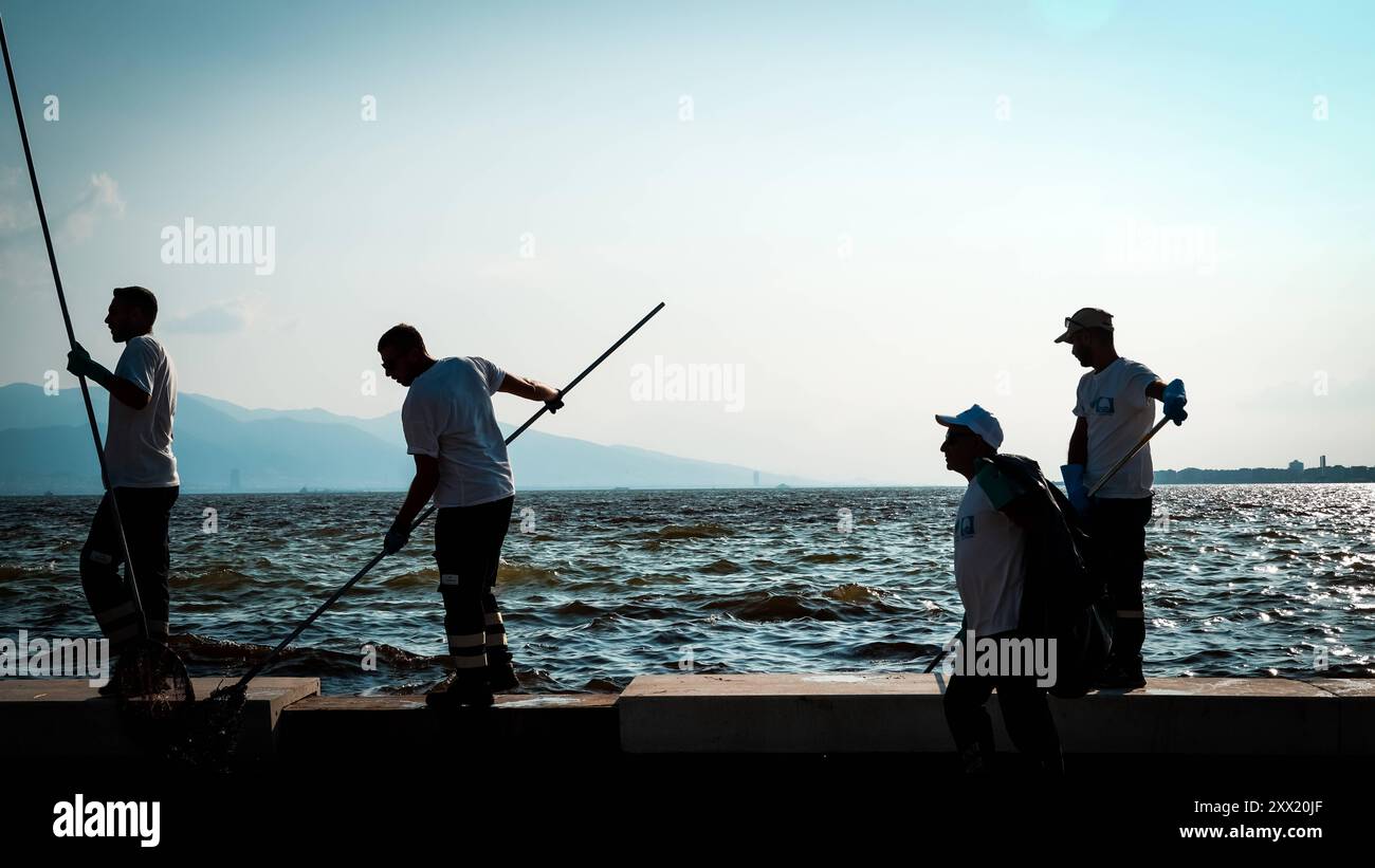 Mass fish deaths in the gulf Mass fish deaths have occurred in the Gulf ...