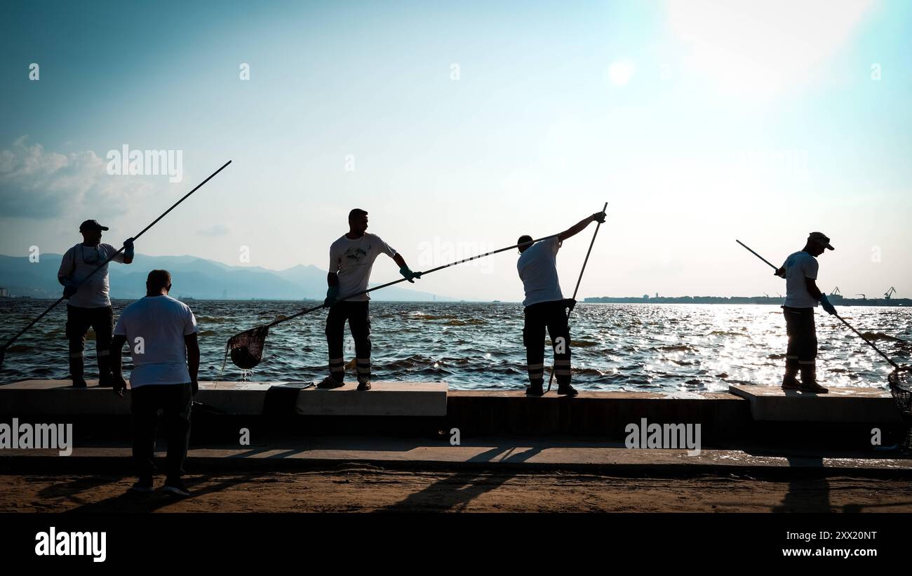 Mass fish deaths in the gulf Mass fish deaths have occurred in the Gulf ...