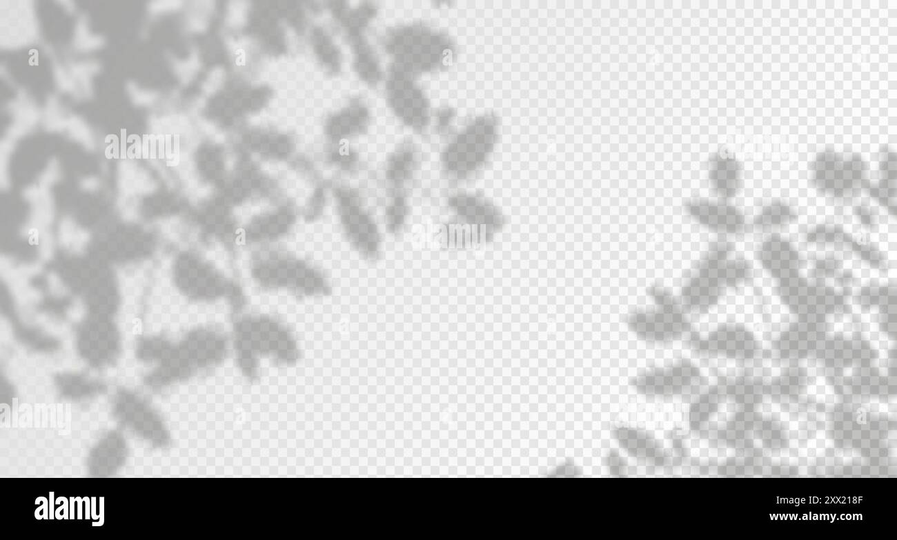 Sun glare plants Stock Vector Images - Alamy