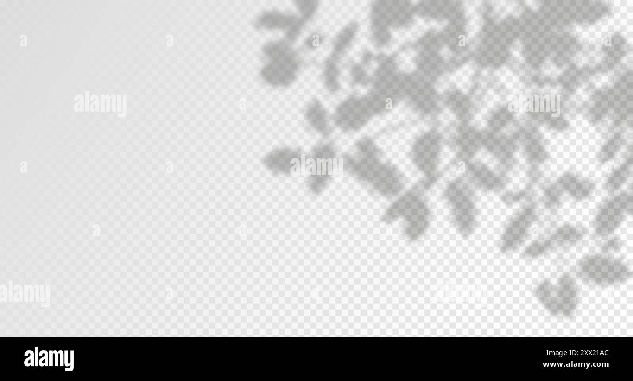 Sun glare plants Stock Vector Images - Alamy