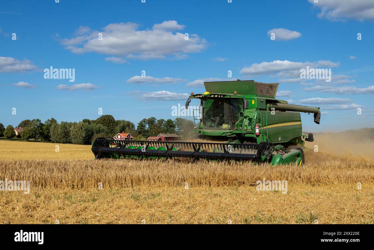 Green combine harvester in action. Harvesting in motion front view ...