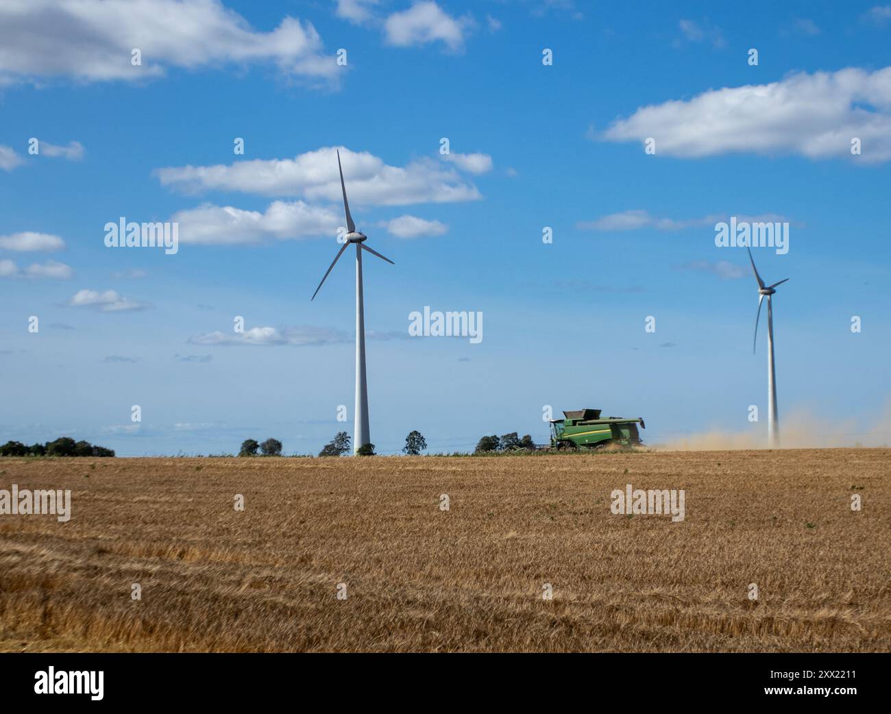 Harvesting landscape view. Green food and green energy Stock Photo - Alamy