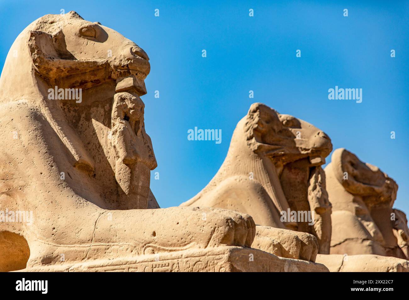 Discover the hidden wonders of Karnak's Avenue of the Sphinxes. This ...