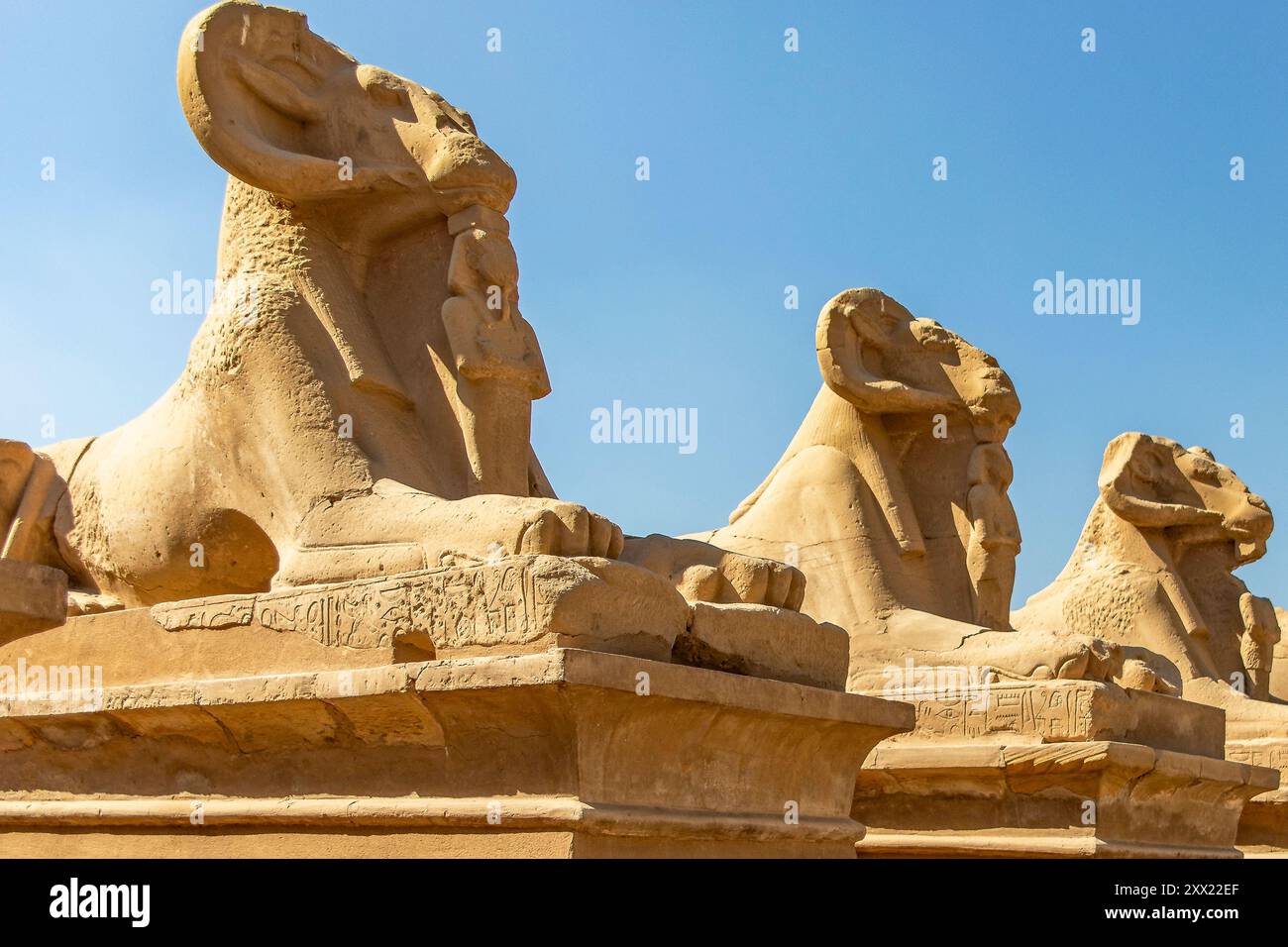 Embark on a timeless journey along Karnak's Avenue of the Sphinxes ...