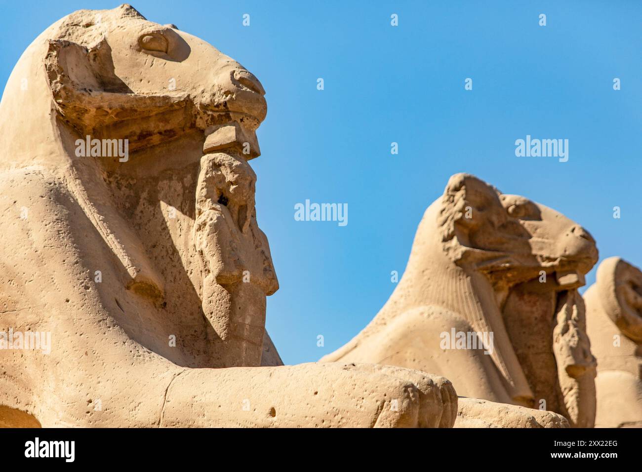 Step back in time and explore Karnak's mystical Avenue of the Sphinxes ...