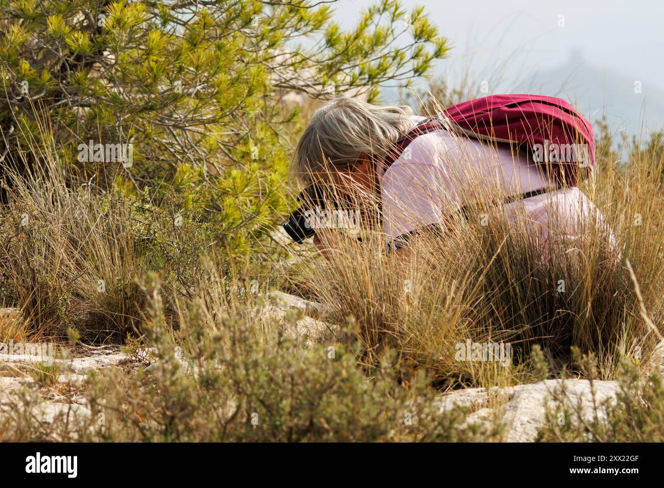 Macro photography among weeds in the Sierra de Mariola natural park ...
