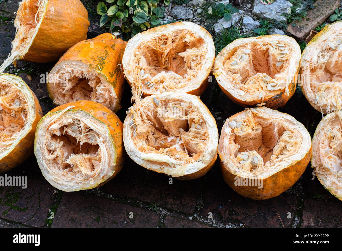 Fresh pumpkin cut open hi-res stock photography and images - Alamy