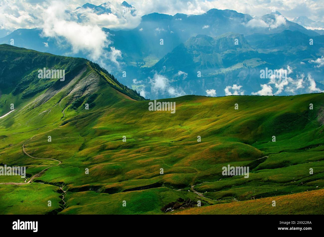 Lush alpine meadow landscape in Swiss Alps in summer, Switzerland Stock ...