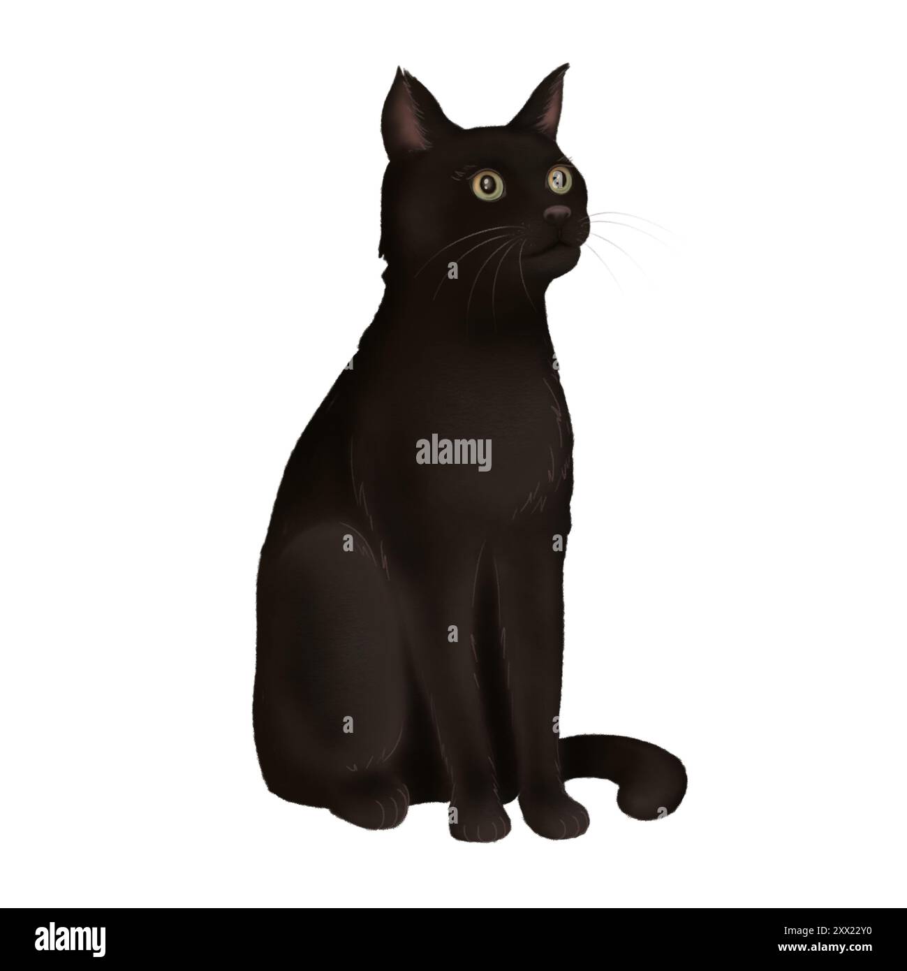 Black cat sitting midnight animal in cartoon style. Hand drawn ...