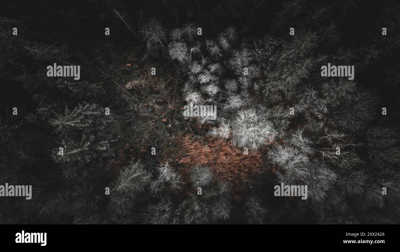 Tree canopy above rural hi-res stock photography and images - Alamy