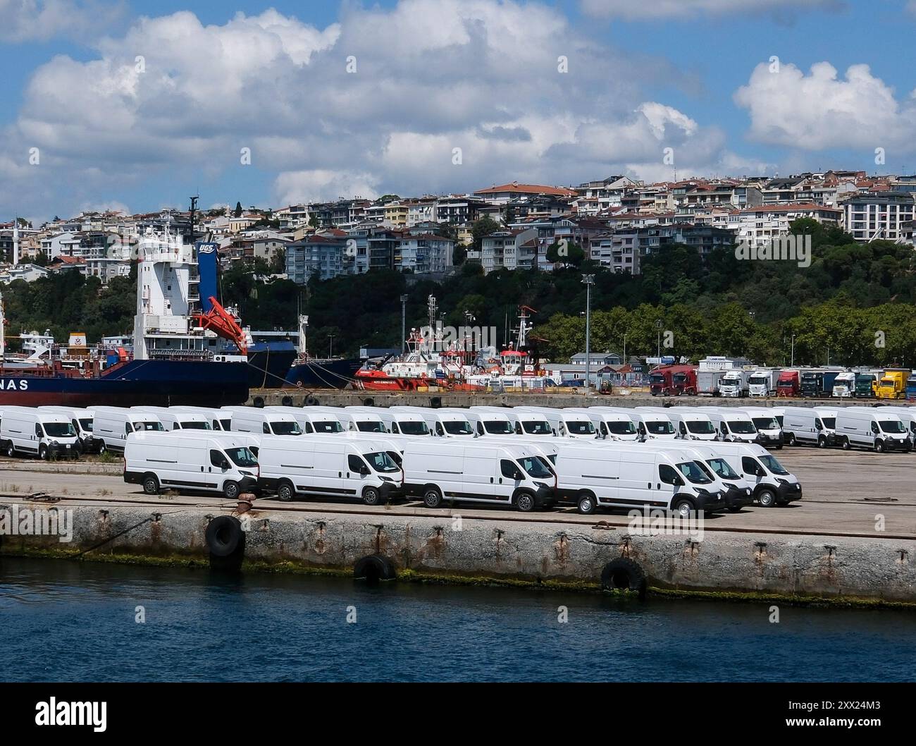 Haydarpaşa Port is a cargo transfer port located within the district of ...