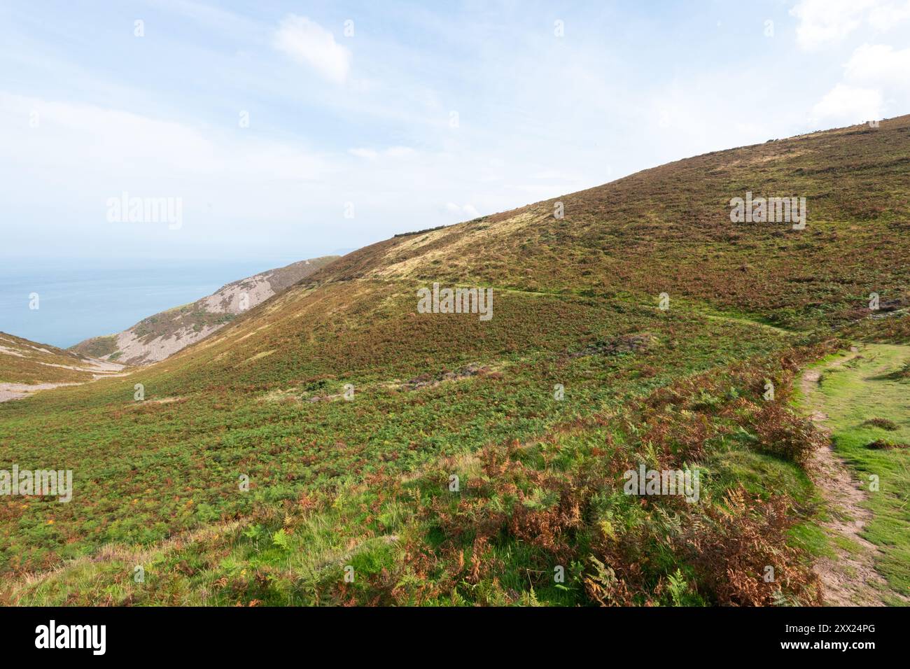 Landscape photo of the South West Coastpath at Foreland Point on the ...