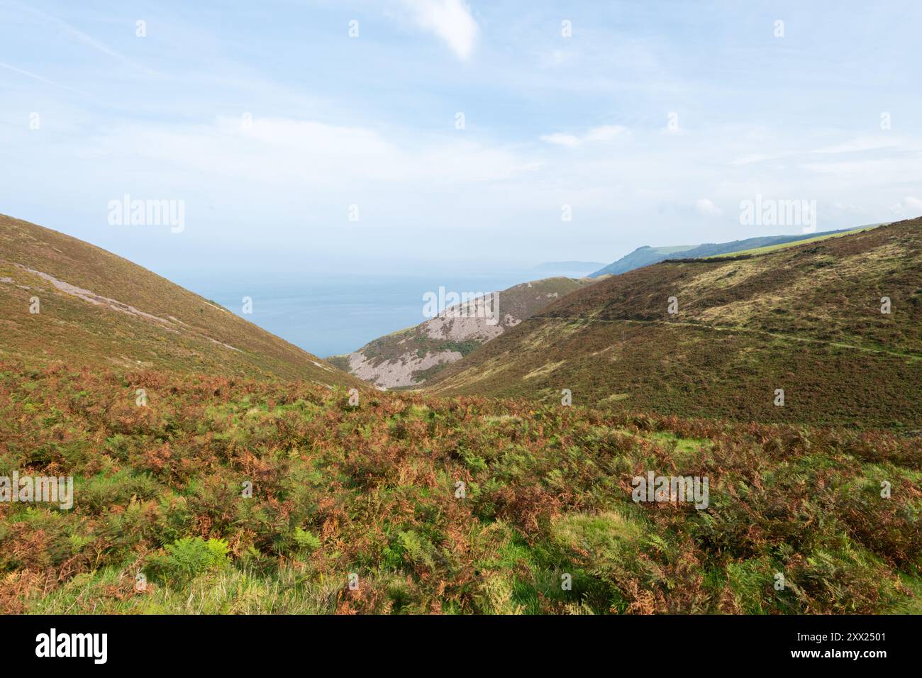 Landscape photo of the South West Coastpath at Foreland Point on the ...
