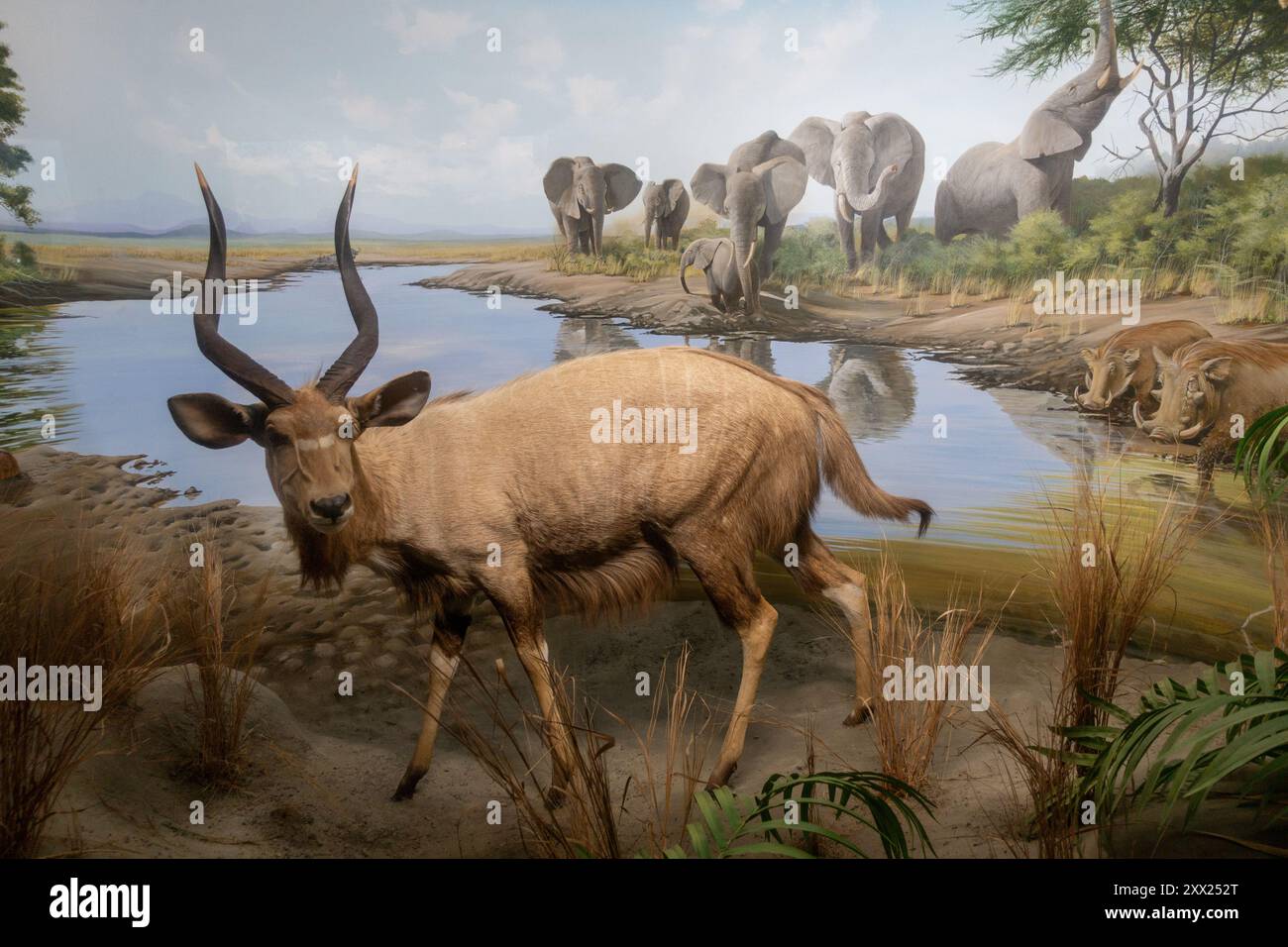 Eco Tarium science and nature museum in Worcester MA Stock Photo - Alamy