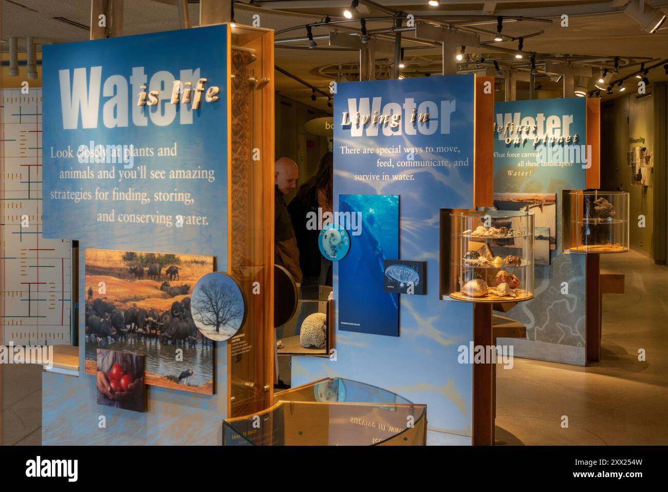 Eco Tarium science and nature museum in Worcester MA Stock Photo - Alamy