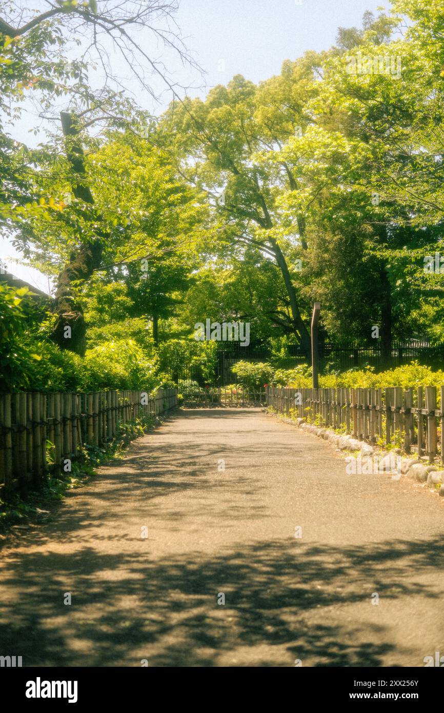 Walking through a park in Japan Stock Photo - Alamy
