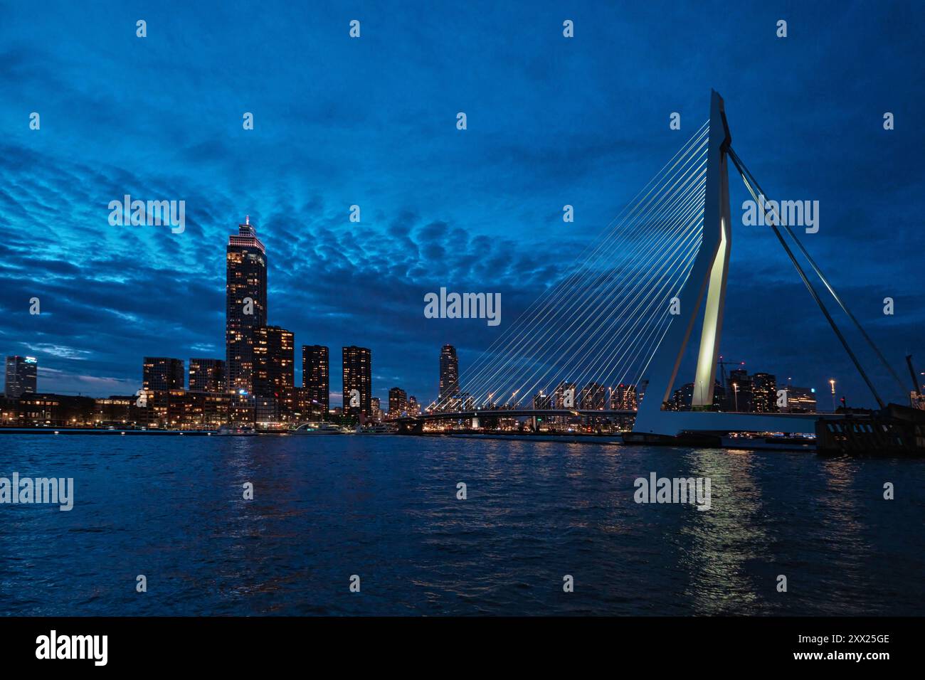 Rotterdam cityscape night illuminated hi-res stock photography and ...
