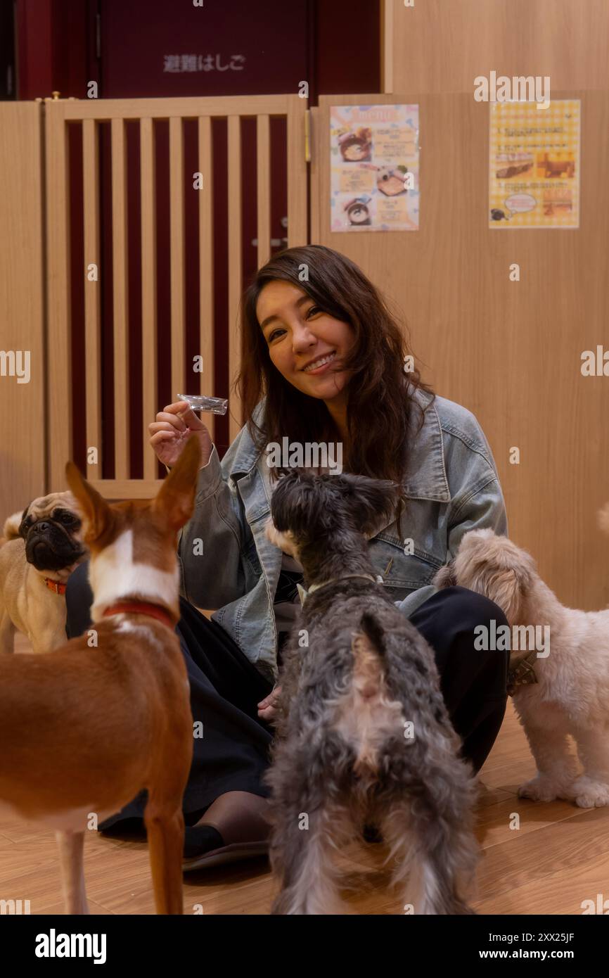 Dog Cafe in Japan Stock Photo - Alamy