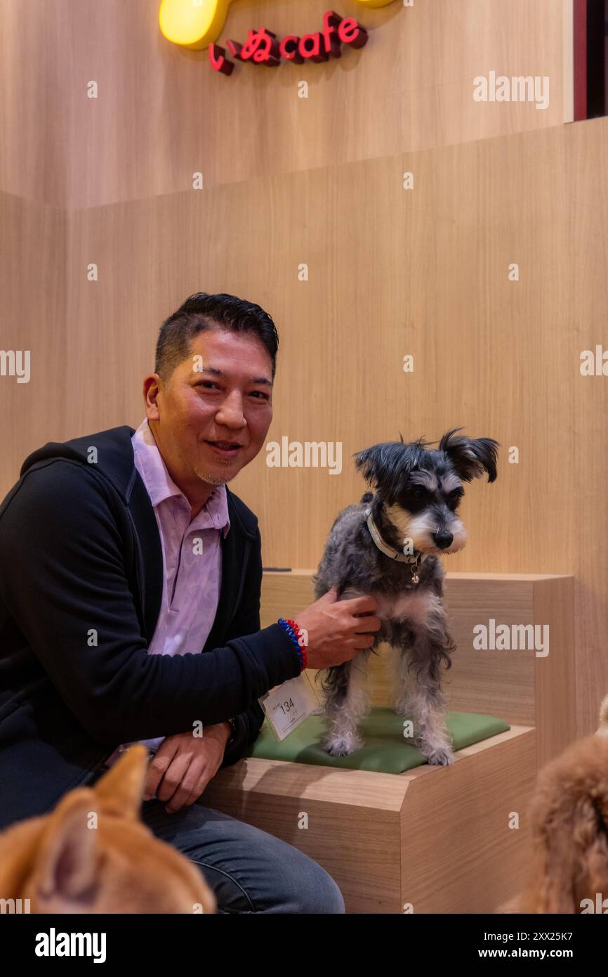Dog Cafe in Japan Stock Photo - Alamy