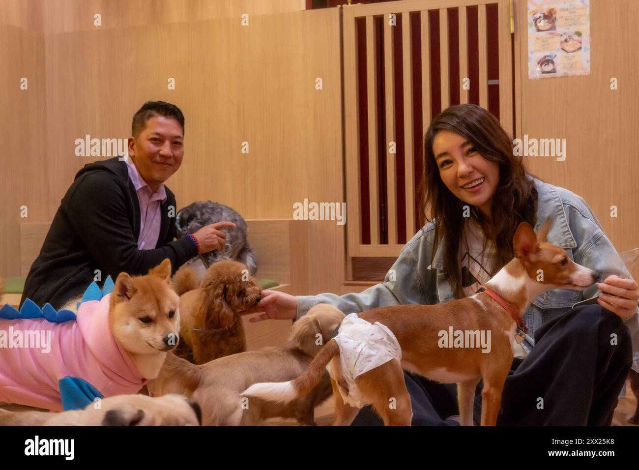 Dog Cafe in Japan Stock Photo - Alamy