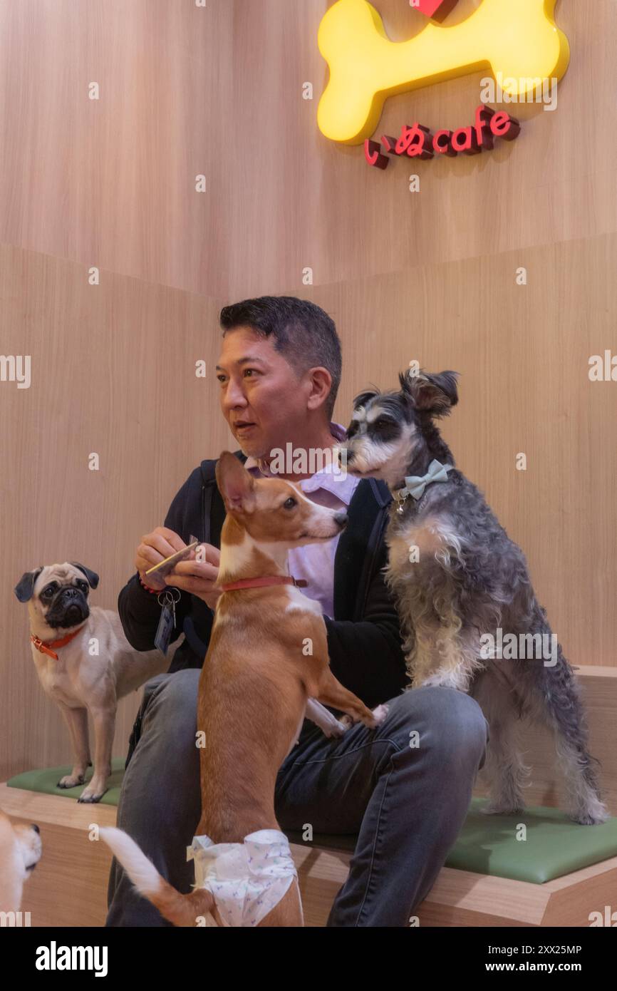 Japan dog cafe hi-res stock photography and images - Alamy