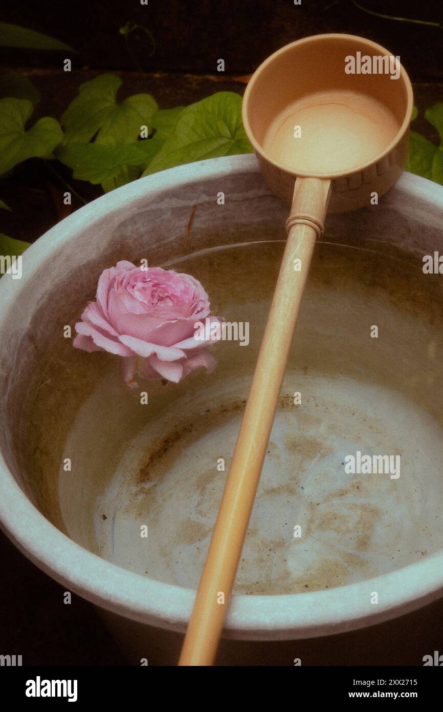 Flower and Ladle in a pail of water in Japan Stock Photo - Alamy