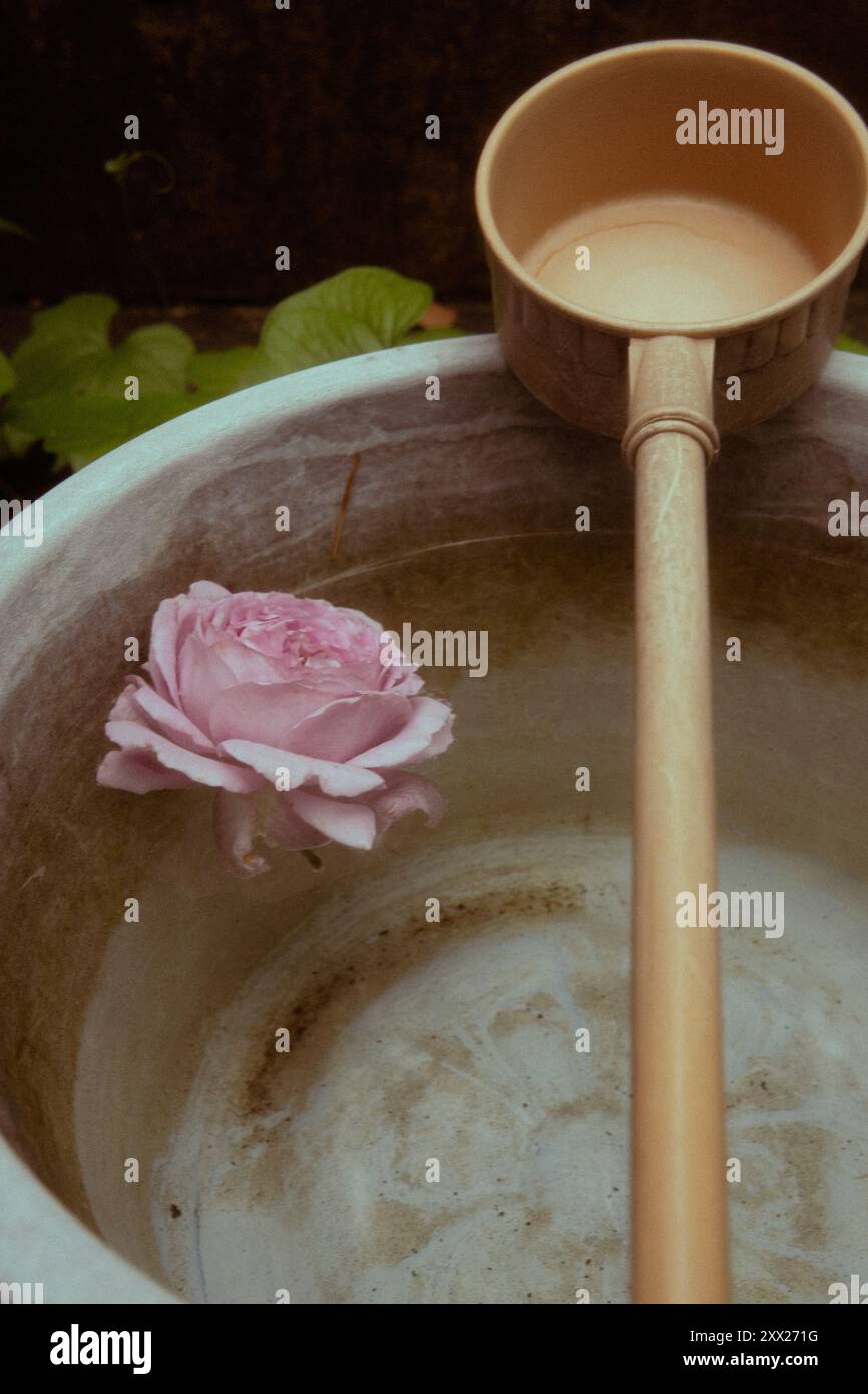 Flower and Ladle in a pail of water in Japan Stock Photo - Alamy