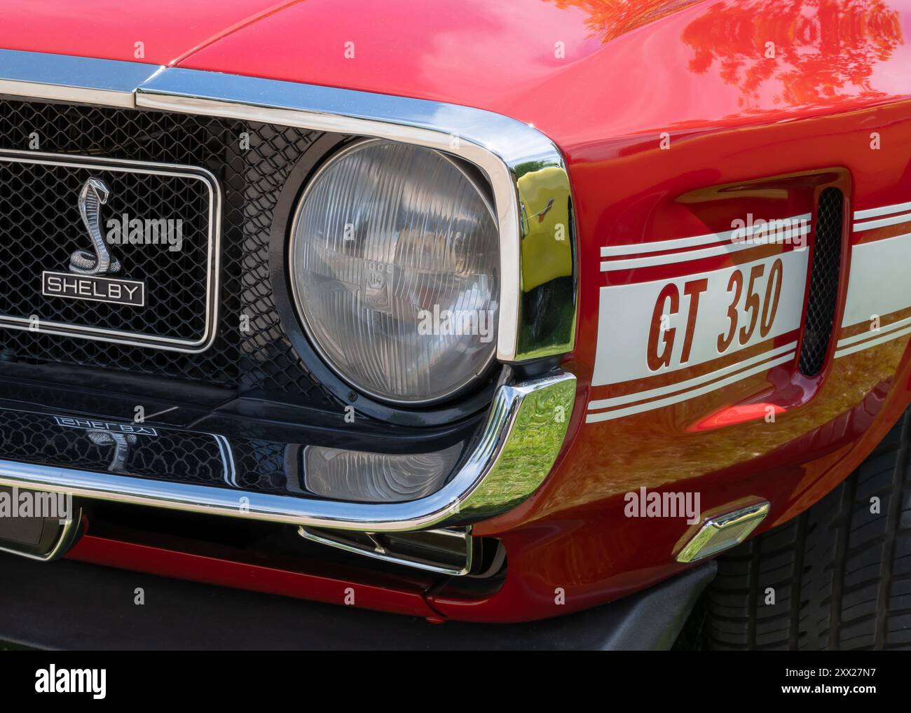 DEARBORN, MI/USA - JUNE 15, 2024: Close-up of a 1970 Ford Shelby ...