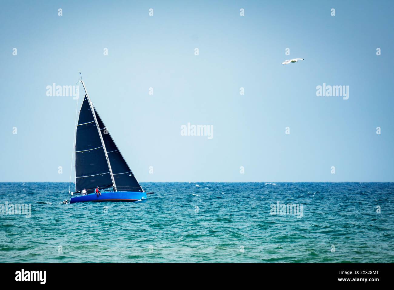 Two people ride the waves of Lake Michigan in a blue sail boat along ...