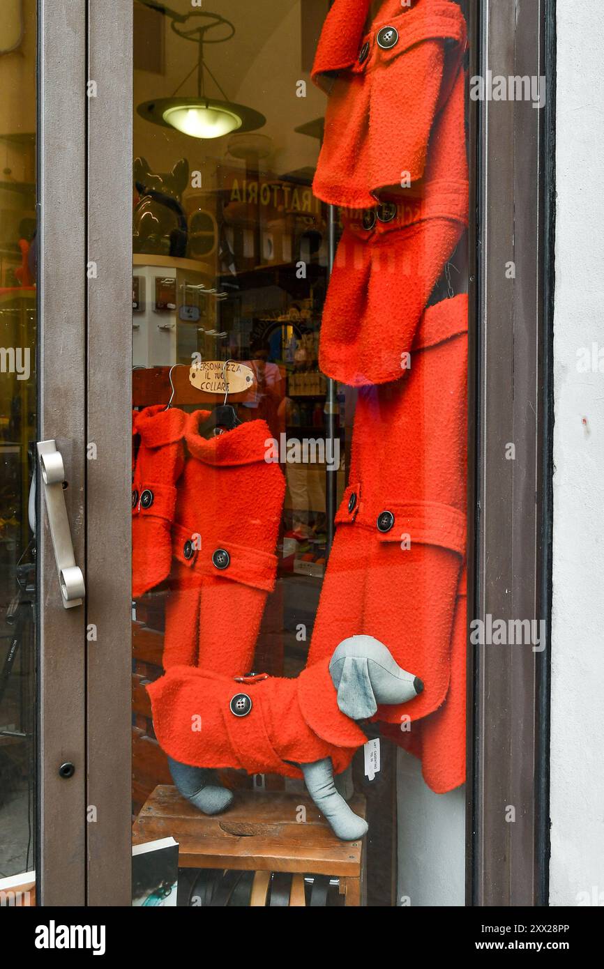 Pet store window hi-res stock photography and images - Alamy
