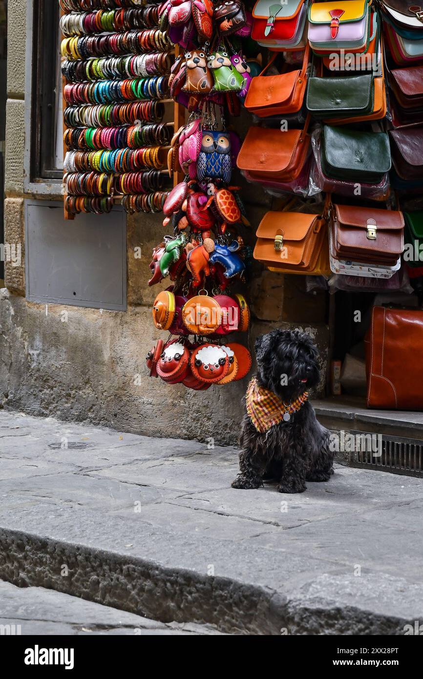 A small black dog sitting in front of a typical Florentine leather ...