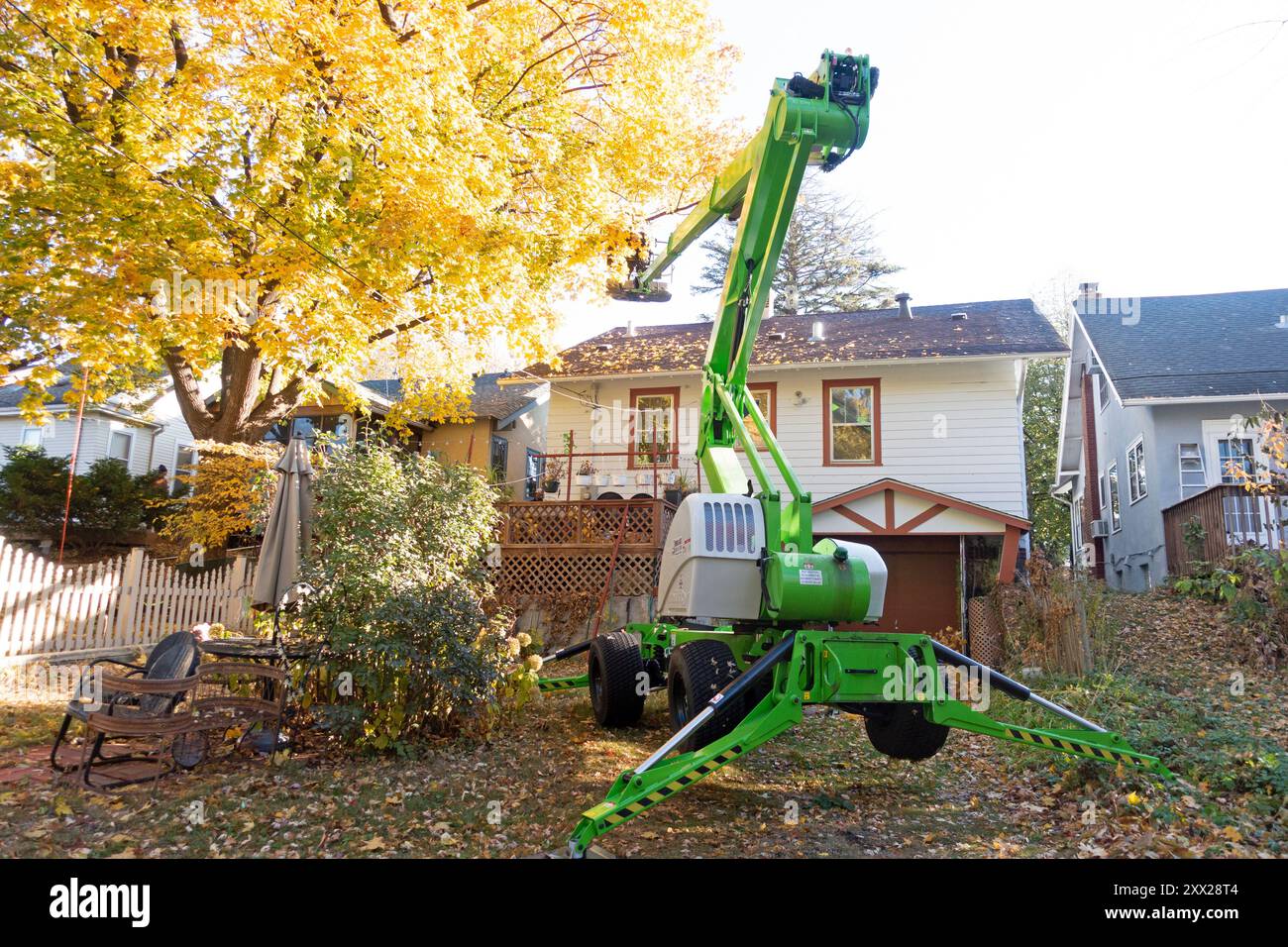 Man on cherry picker trimming neighbors maple tree. St Paul Minnesota ...