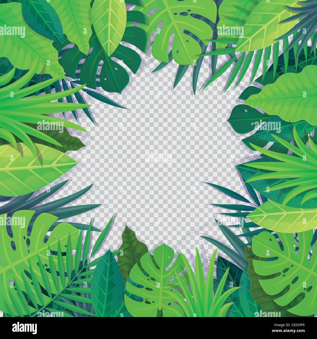 Tropical Leaf square Frame Green jungle foliage vector illustration ...