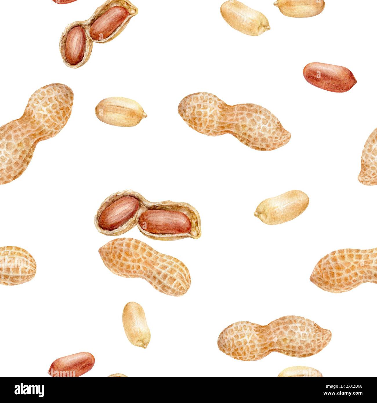 Peanut Seamless Pattern Watercolor Illustration Depicted on a Crisp ...