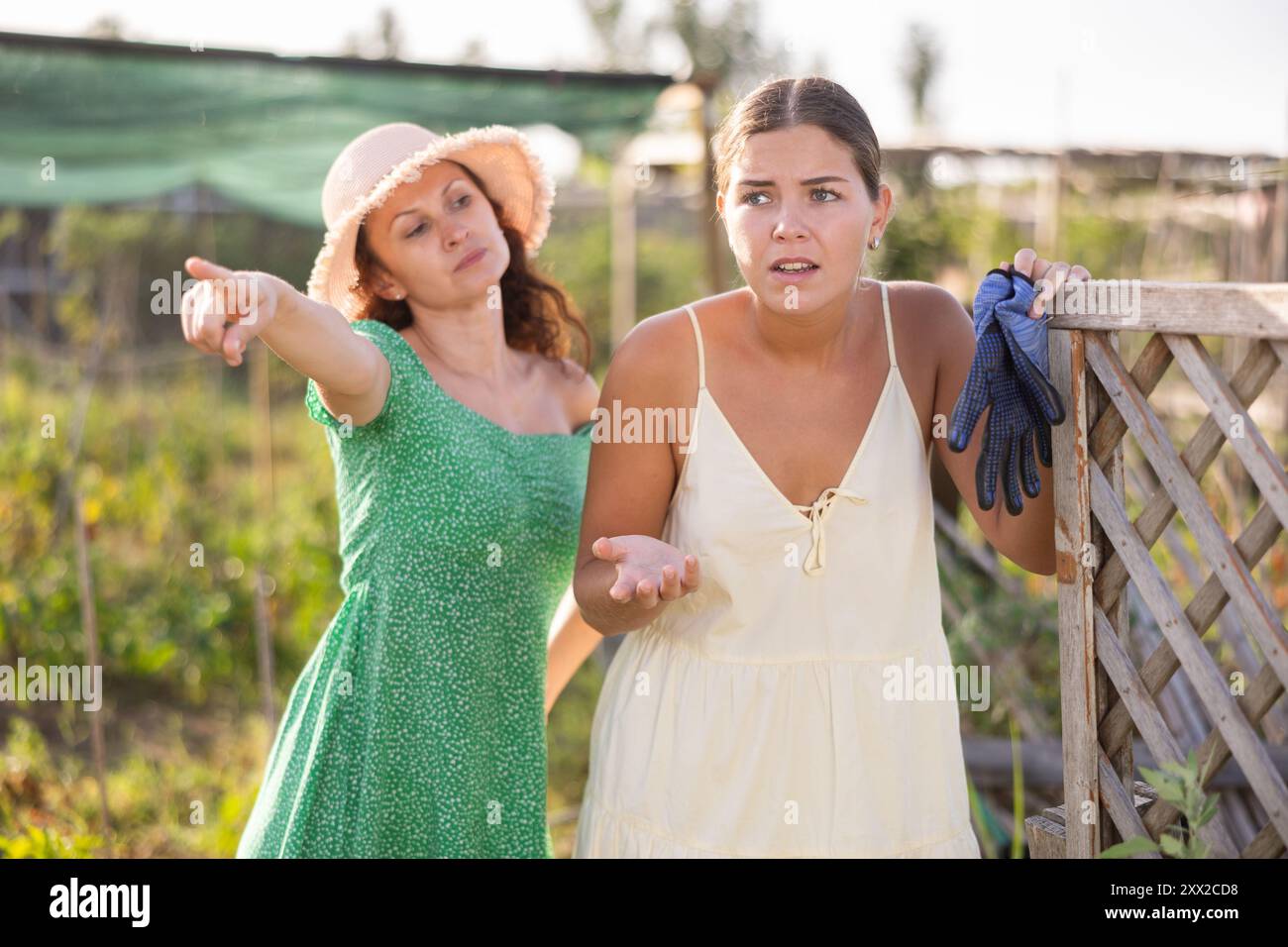 Two young women neighbors quarrel and swear near trellis Stock Photo ...