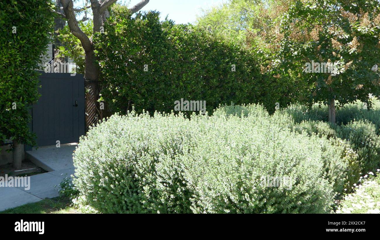 619 moreno avenue hi-res stock photography and images - Alamy