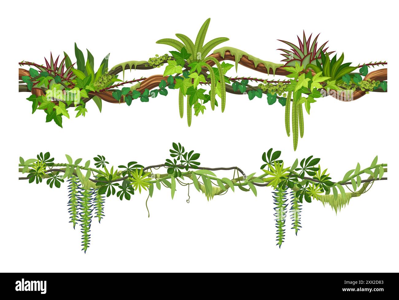 Cartoon Rainforest Tree Vines Lianas Stems Border Set. Rainforest