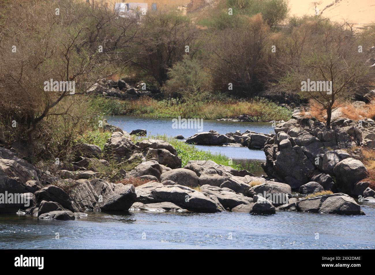 Nature near Nile River in Aswan Egypt Stock Photo - Alamy